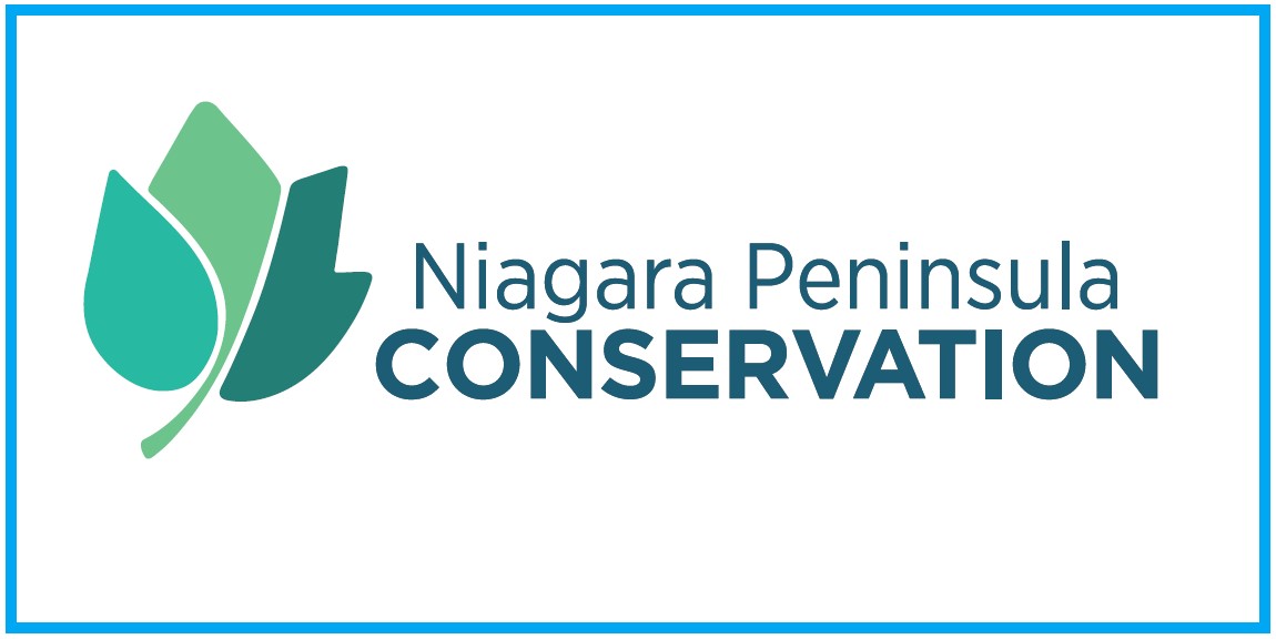 EXPLORE YOUR OWN BACKYARD – RCL Environment